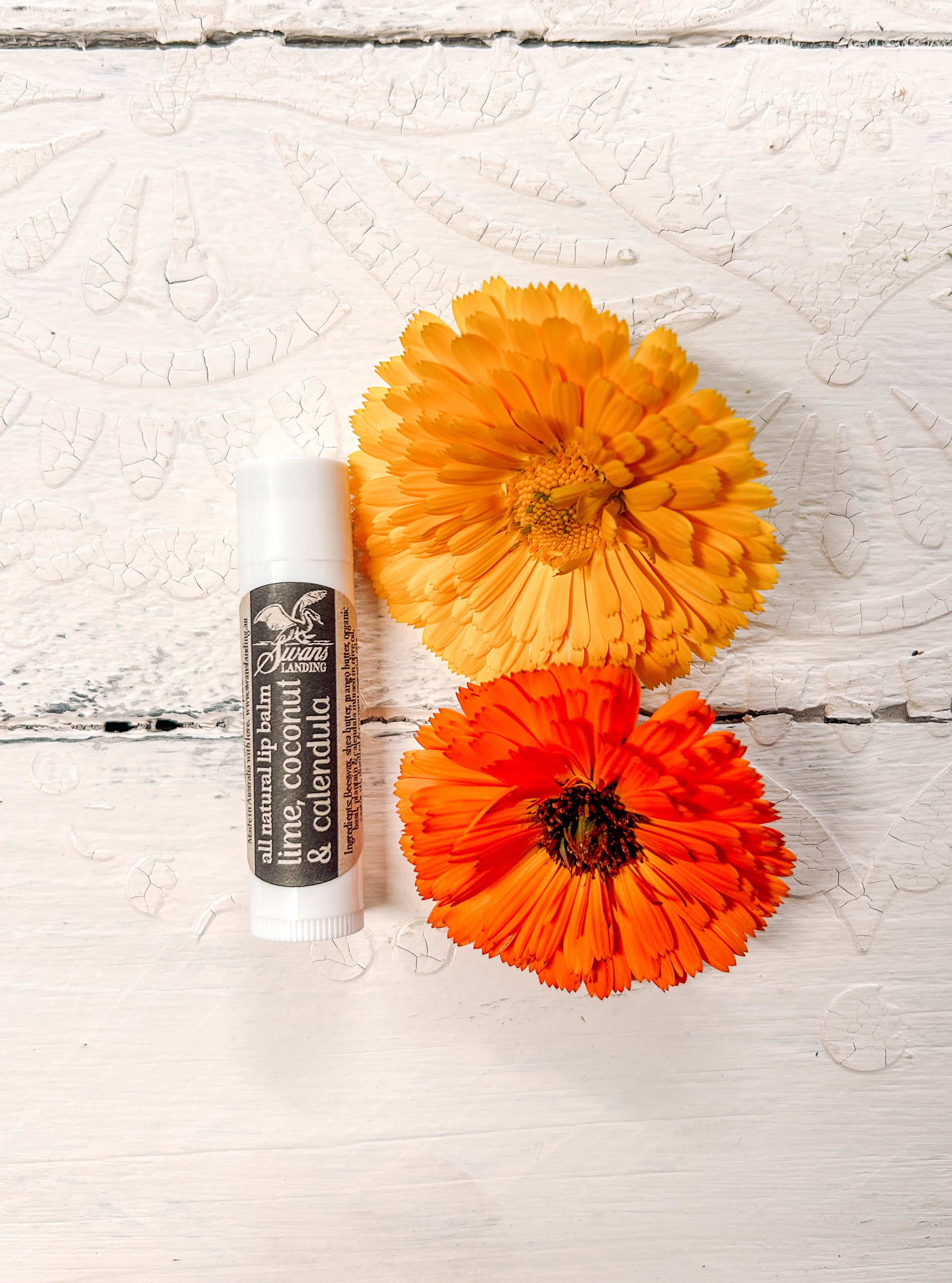 all natural lip balms | healing | australian apothecary – Swans Landing ...