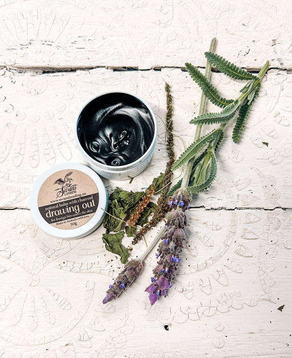 Drawing Out Balm | Australian Apothecary | Herbs – Swans Landing Apothecary